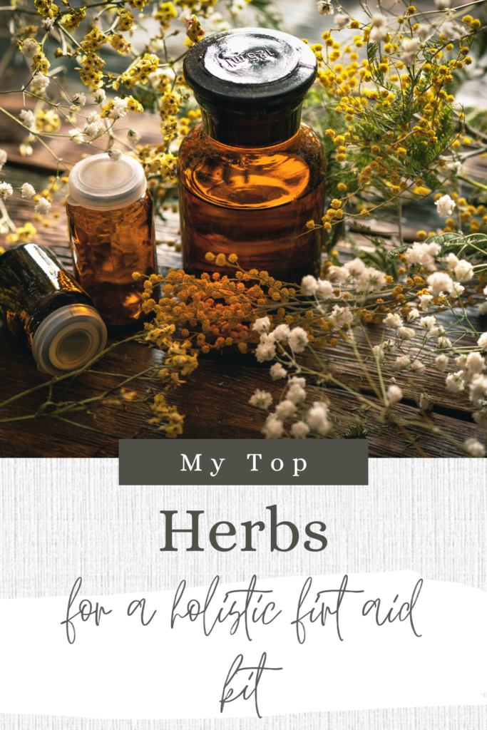 My Top 6 Herbs to Keep in Your Herbal First Aid Kit - Simply ...